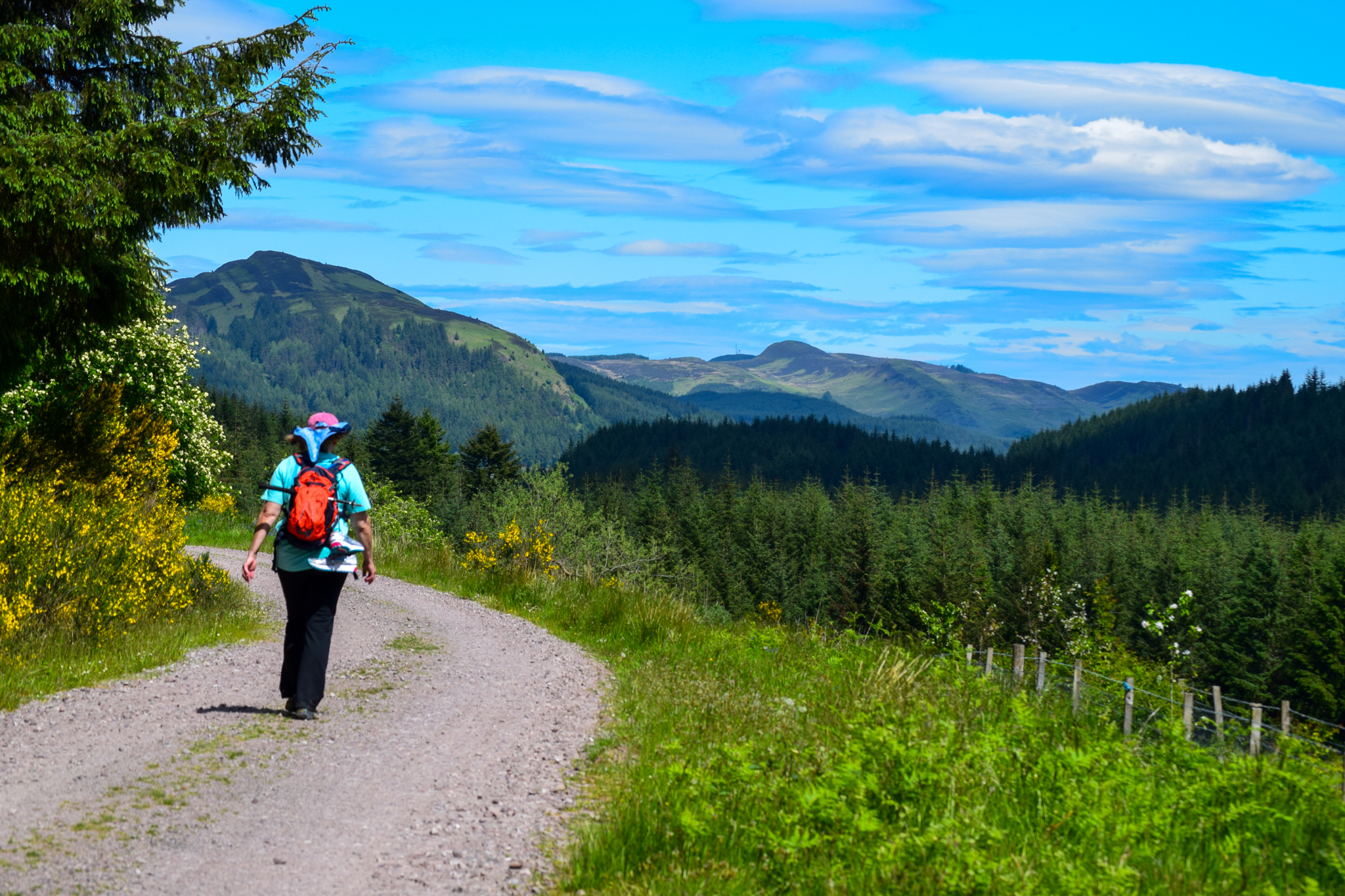 Rob Roy Way Walking Holidays - 2023 & 2024