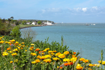 Isle of Wight Coastal Path Walking Holidays - 2026 & 2027