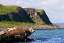 Moyle Way & Causeway Coast Way Hiking Tours | 2026 & 2027