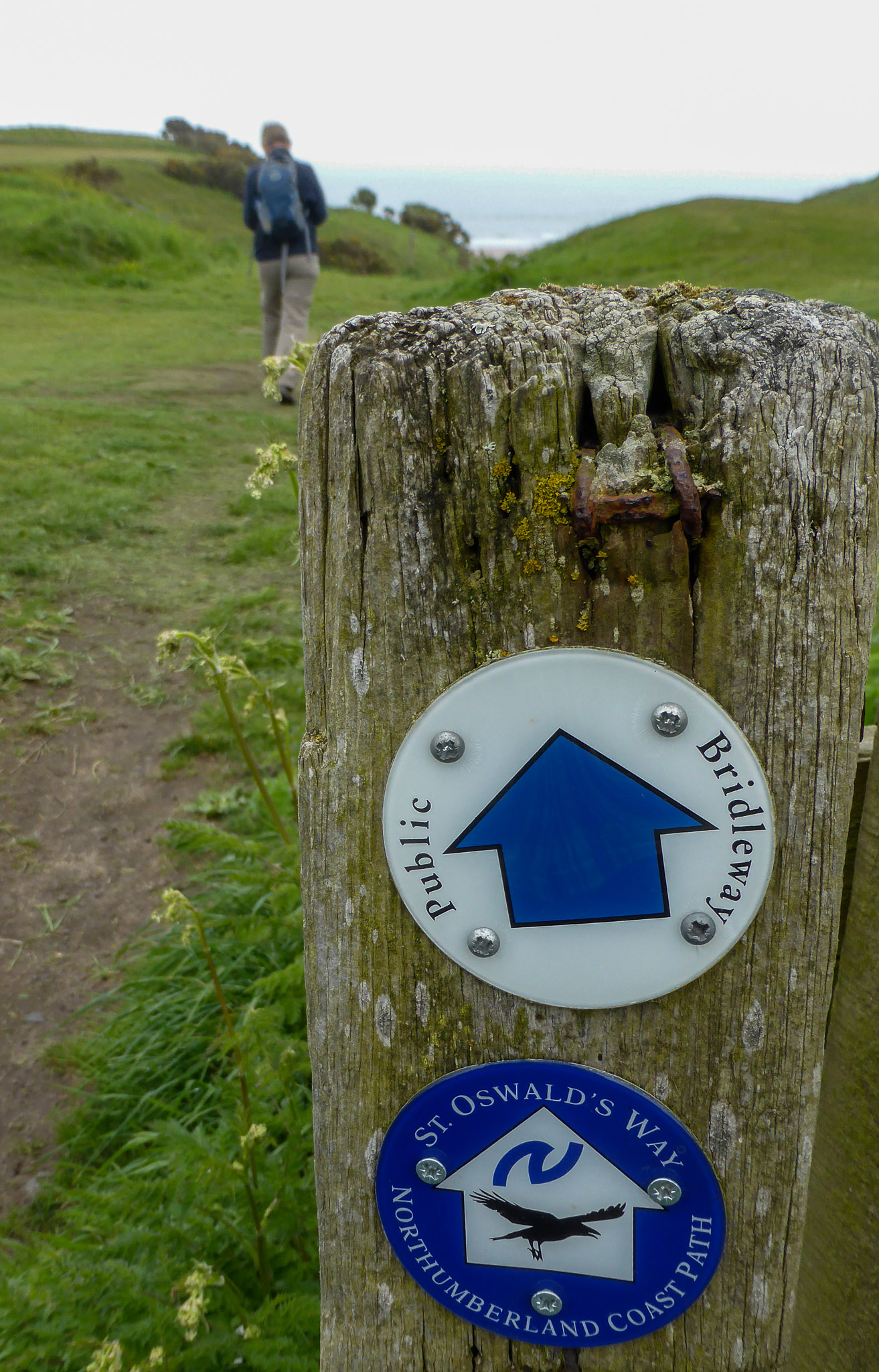St Oswald's Way Walking Holidays | Absolute Escapes
