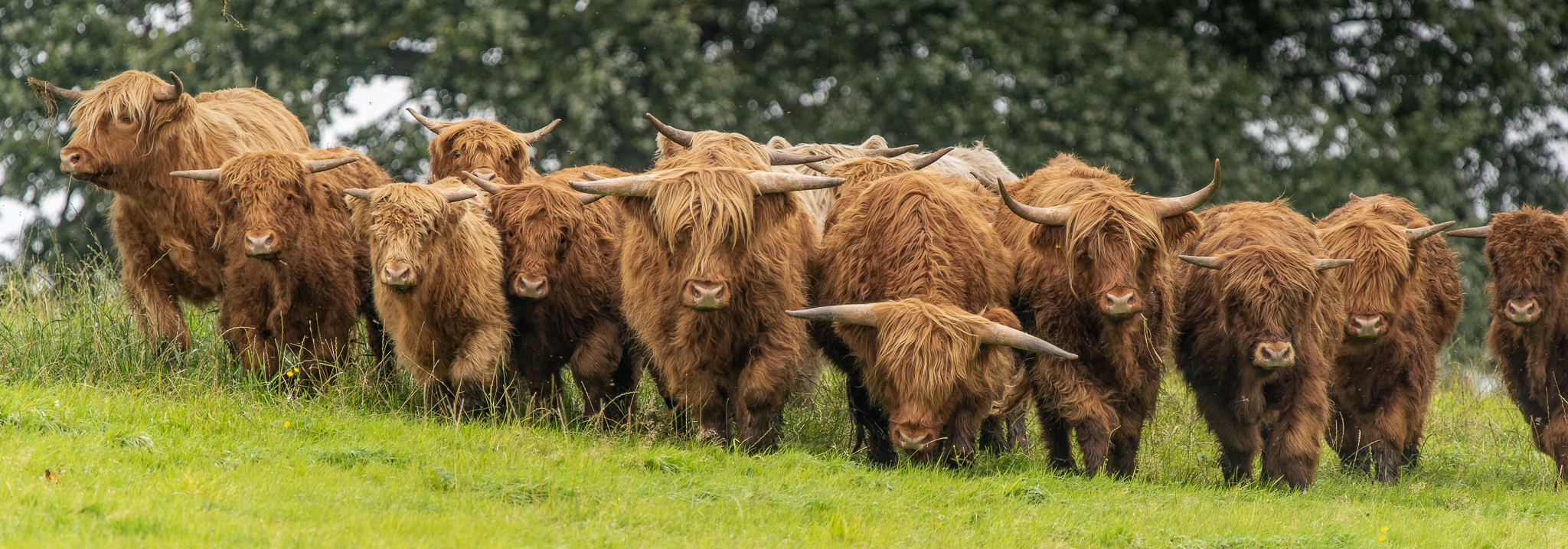 9 Unusual Things to See & Do in Scotland - Absolute Escapes