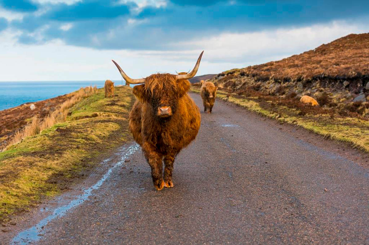 North Coast 500: The World's Best Road Trip? - Absolute Escapes